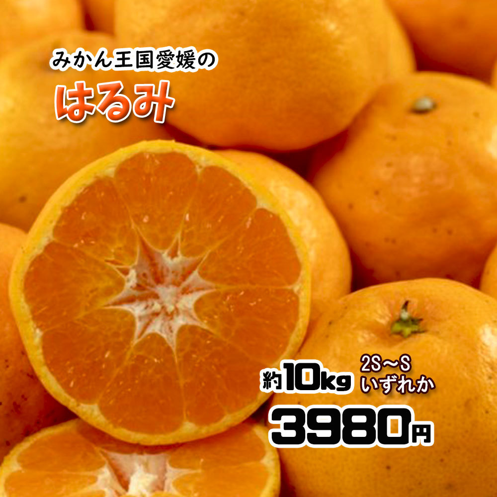 【楽天市場】はるみ みかん 訳あり 箱買い はるみみかん 2S～3L 約 10kg いずれか 送料無料：みかん横丁