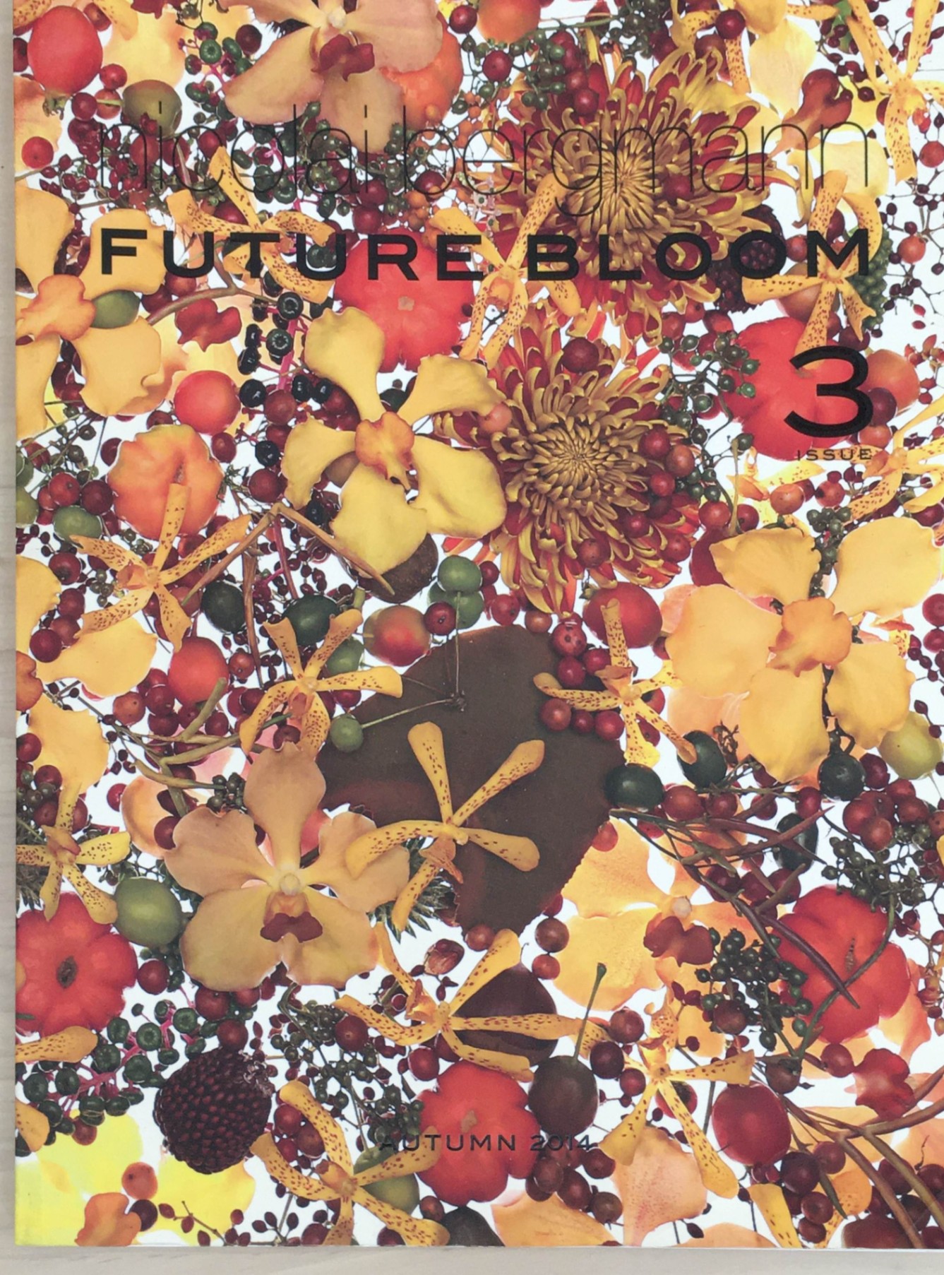 【楽天市場】[中古]FUTURE BLOOM(ISSUE 3) 管理番号：20240212-2：みけねこ堂