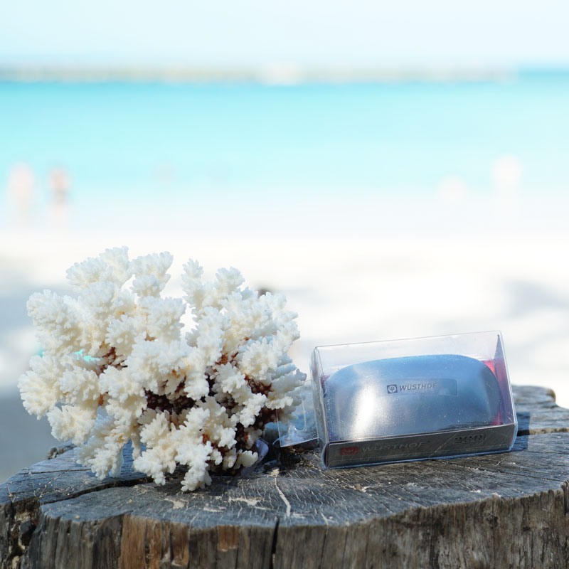 【楽天市場】ザ・ステンレスソープ【ステンレスソープ】【ステンレス】【ステンレス石鹸】【臭い消し】【WUSTHOF】【stainlesssoap ...