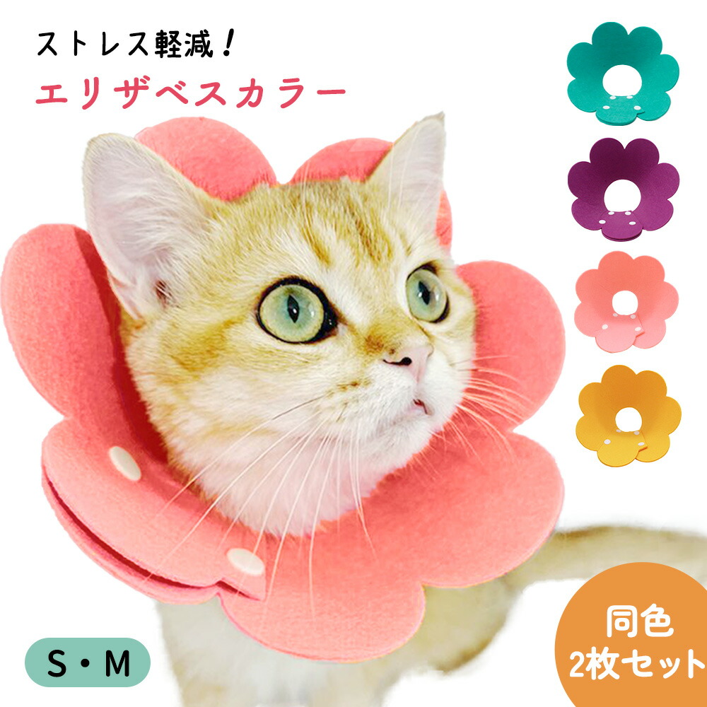 【楽天市場】【MILASIC公式】フェルト エリザベスカラー 猫 2枚セット フェルトエリザベスカラー ペット ねこ ネコ おしゃれ かわいい プレゼント 手術後 保護襟 術後 首回り 介護 ...