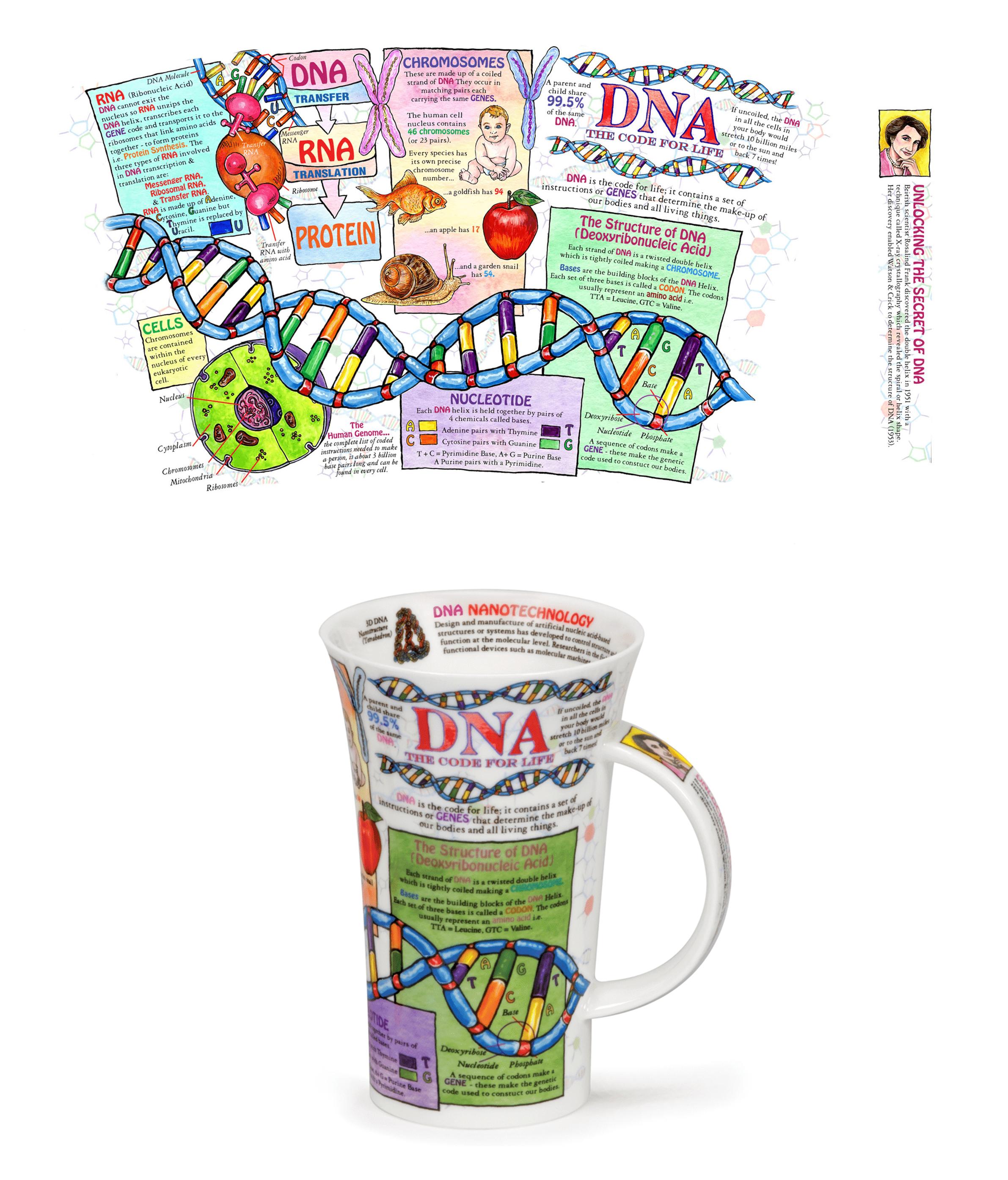 【楽天市場】ダヌーン マグ （ビアマグ）Glencoe DNA 500ml DUNOON：MINOKOBO