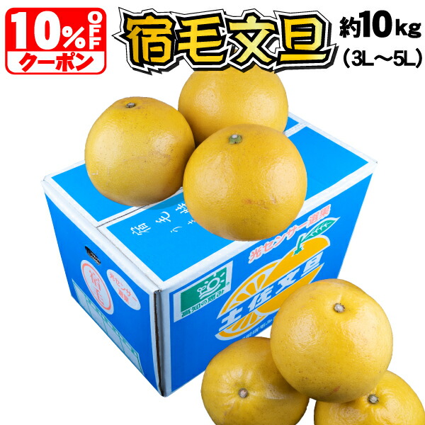 【楽天市場】本日クーポンで10%OFF 10kg 超大玉3L~5L 宿毛文旦（土佐文旦） JA光センサー選果 超大玉 宿毛文旦 送料無料で甘～い、ぶんたん宿毛文旦(すくもぶんたん)（3L～5L ...