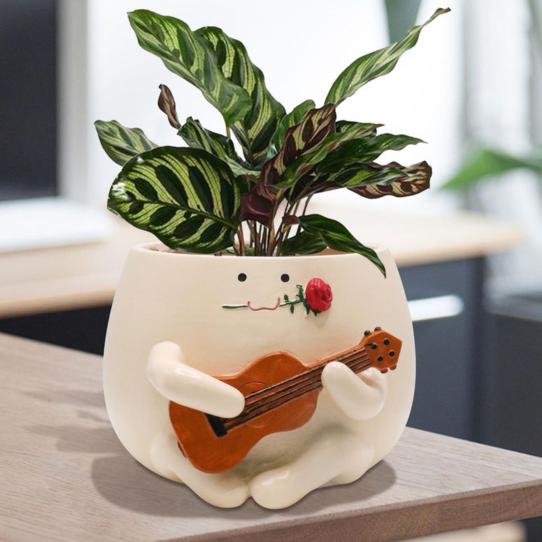 【楽天市場】かわいい ユニーク 面白い 癒し プランター 植木鉢 鉢 Toparad Face Planter Pot with ...