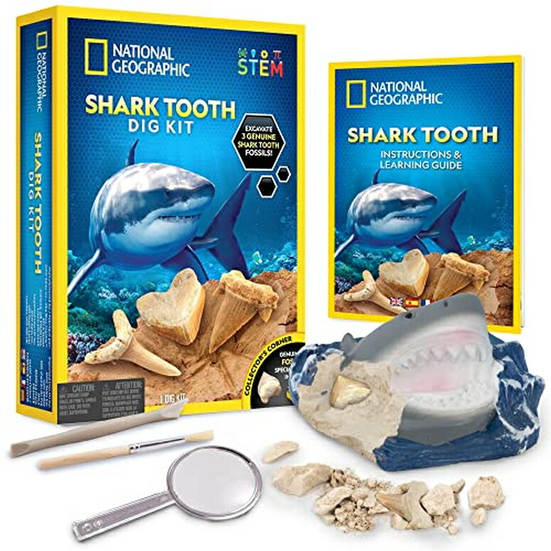 【楽天市場】ナショナルジオグラフィック サメの歯 おもちゃ NATIONAL GEOGRAPHIC Shark Tooth Dig Kit ...