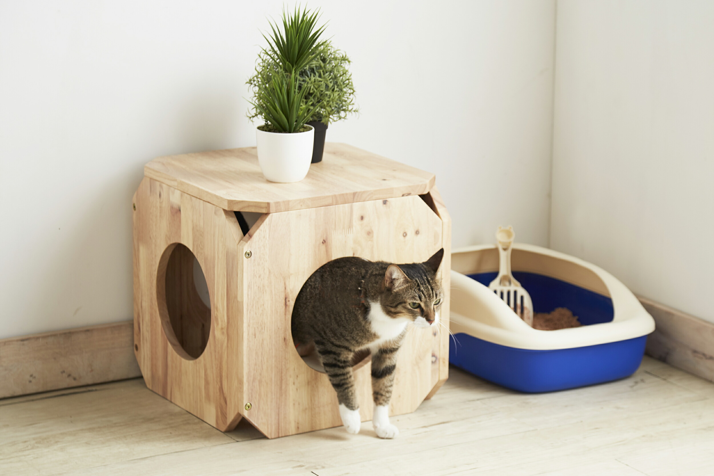 【楽天市場】NATURAL SIGNATURE ナチュラルシグネチャー Cut-hus キャトハス ペットベンチ S 猫 ベンチ 隠れ家 キャットタワー 組み合わせ 積み重ね 木 家具 ...