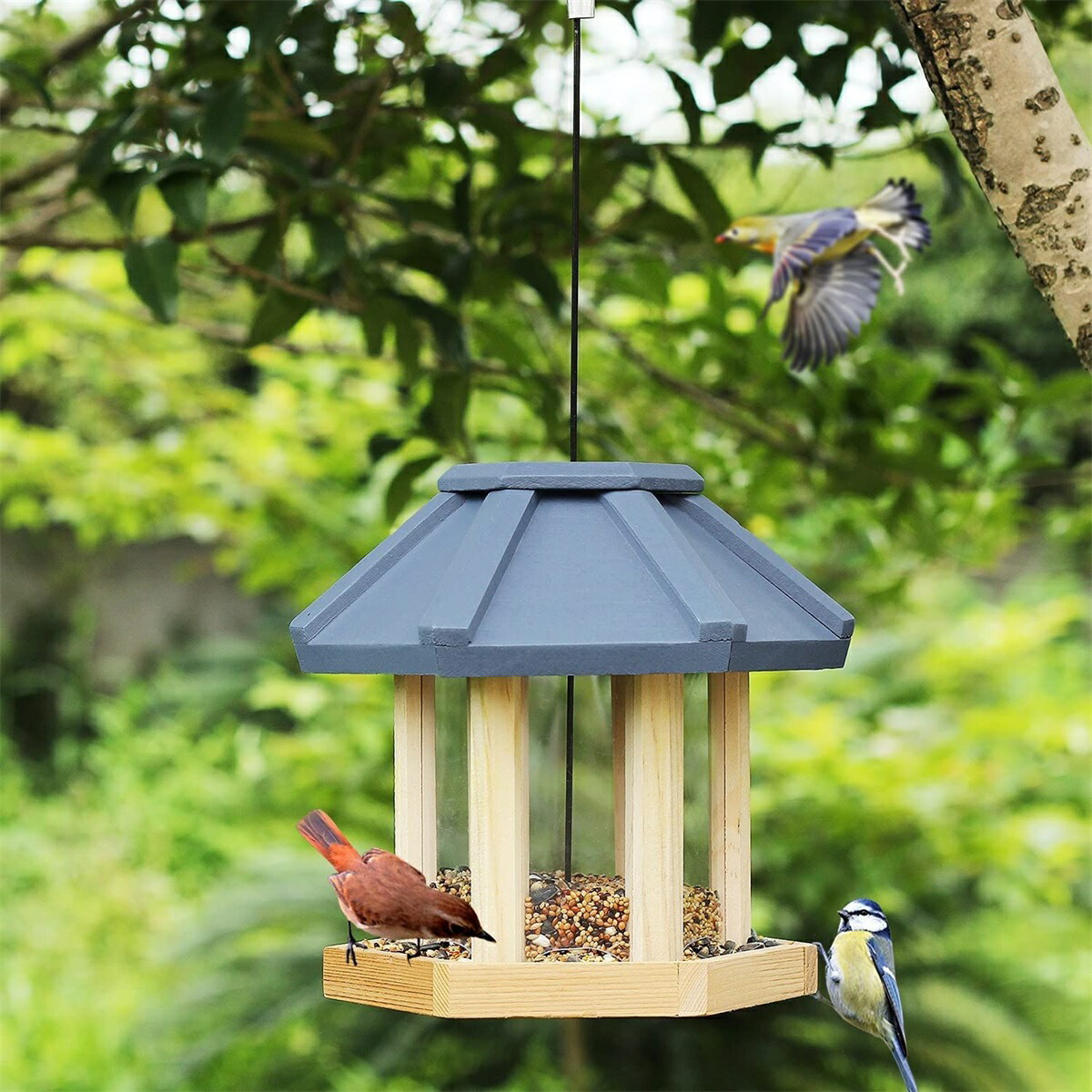 【楽天市場】豪華な望楼の赤い杉の野生の鳥のフィーダー、屋外にぶら下がっている鳥羽 ドアの使用のために持続する長寿命：Monuso