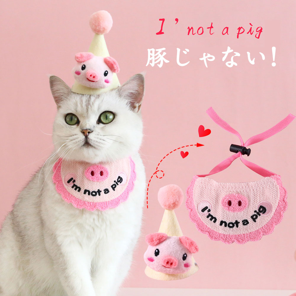 【楽天市場】誕生祝い 豚じゃない ペット用品 猫 帽子 よだれかけ 2点セット 刺繍 猫用 ペット用品 可愛い 装飾 プレゼント用 記念撮影：Monuso