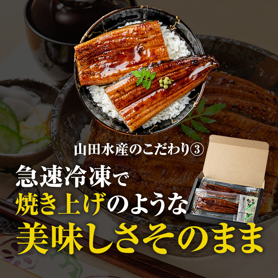 うなぎ 国産 2尾 送料無料 蒲焼き 2025 母の日 ギフト 早割 ウナギ 約180g（計約360g）鹿児島 無投薬 風呂敷 鰻 冷凍 真空パック 食品 土用丑 土用 丑の日 unagi ...
