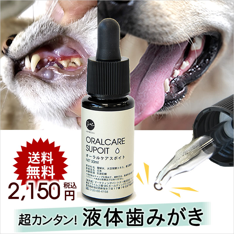 【楽天市場】J＆C オーラルケア スポイト 30ml 犬 猫 デンタルケア 液体 歯磨き 犬用 猫用：犬と猫のJohn＆Coco ジョン＆ココ