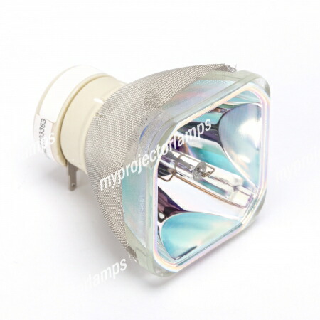 【楽天市場】Hitachi DT01123対応純正バルブ採用交換用プロジェクターランプ：MPLAMPS JAPAN 楽天市場店