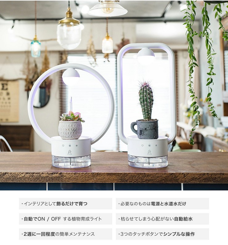 【インテリアとして飾るだけで育つ】 自動給水 EPEIOS 植物育成ライト TANIQUE LED 多肉植物 サボテン 観葉植物 24h自動運転 タイマー 自動ON/OFF 室内栽培 照明 ...