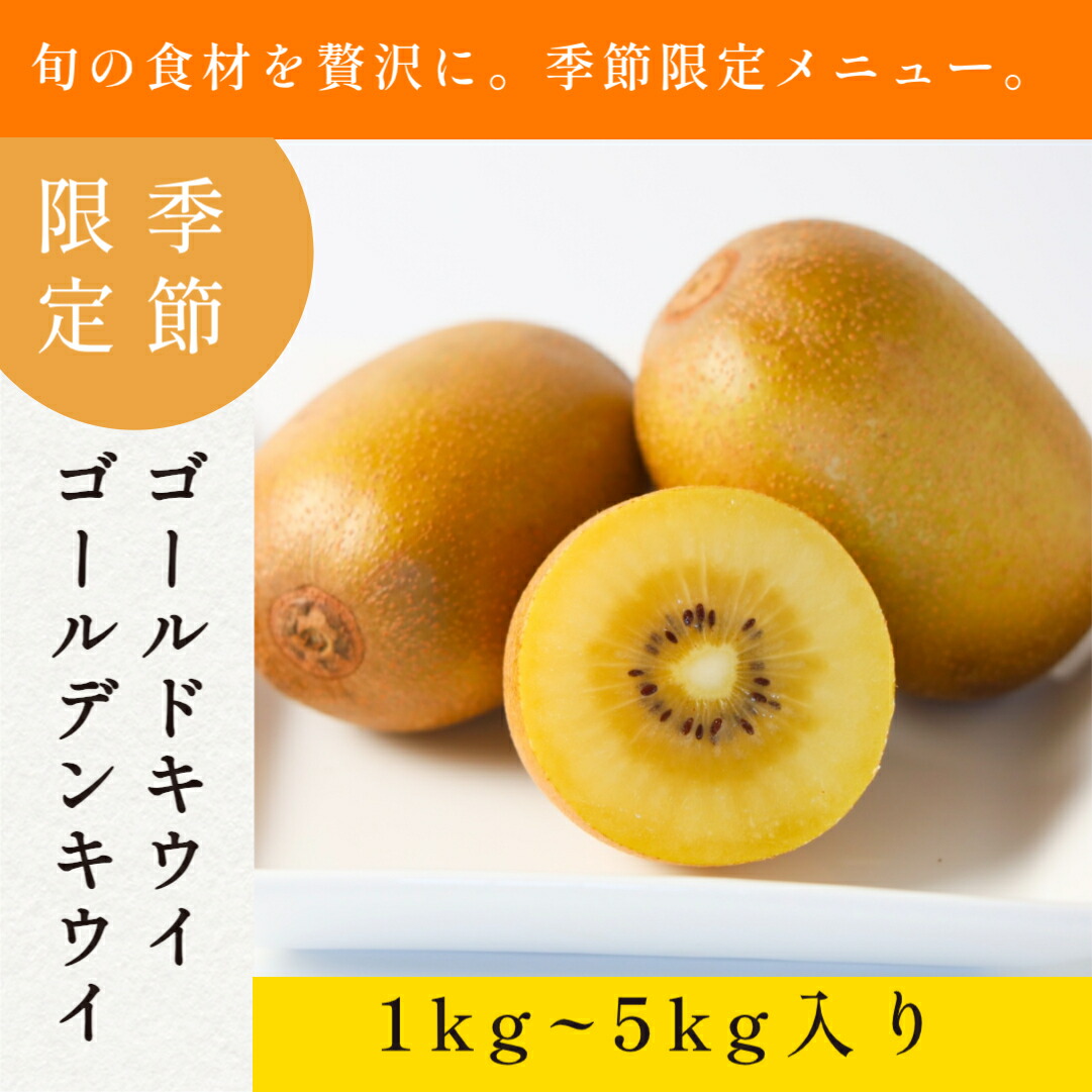 【楽天市場】ゴールドキウイ ゴールデンキウイ 季節限定 キウイフルーツ 果物 選べるサイズ：MSKSHOP