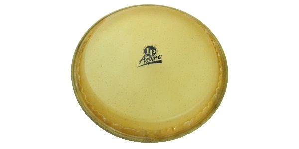 【楽天市場】LP（ラテンパーカッション） パーカッション用ヘッド LPA640A：迅速配送の楽器機材本舗