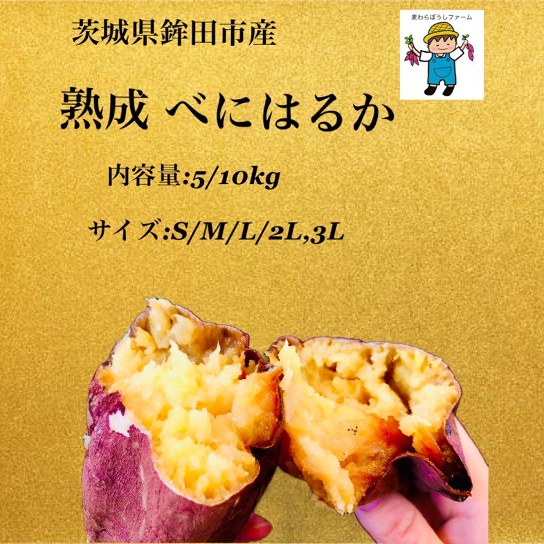 【楽天市場】熟成 べにはるか 茨城県 旭村 鉾田市産 5kg /10kg S / M / L/ 2L/ 3L さつまいも：麦わらぼうしファーム