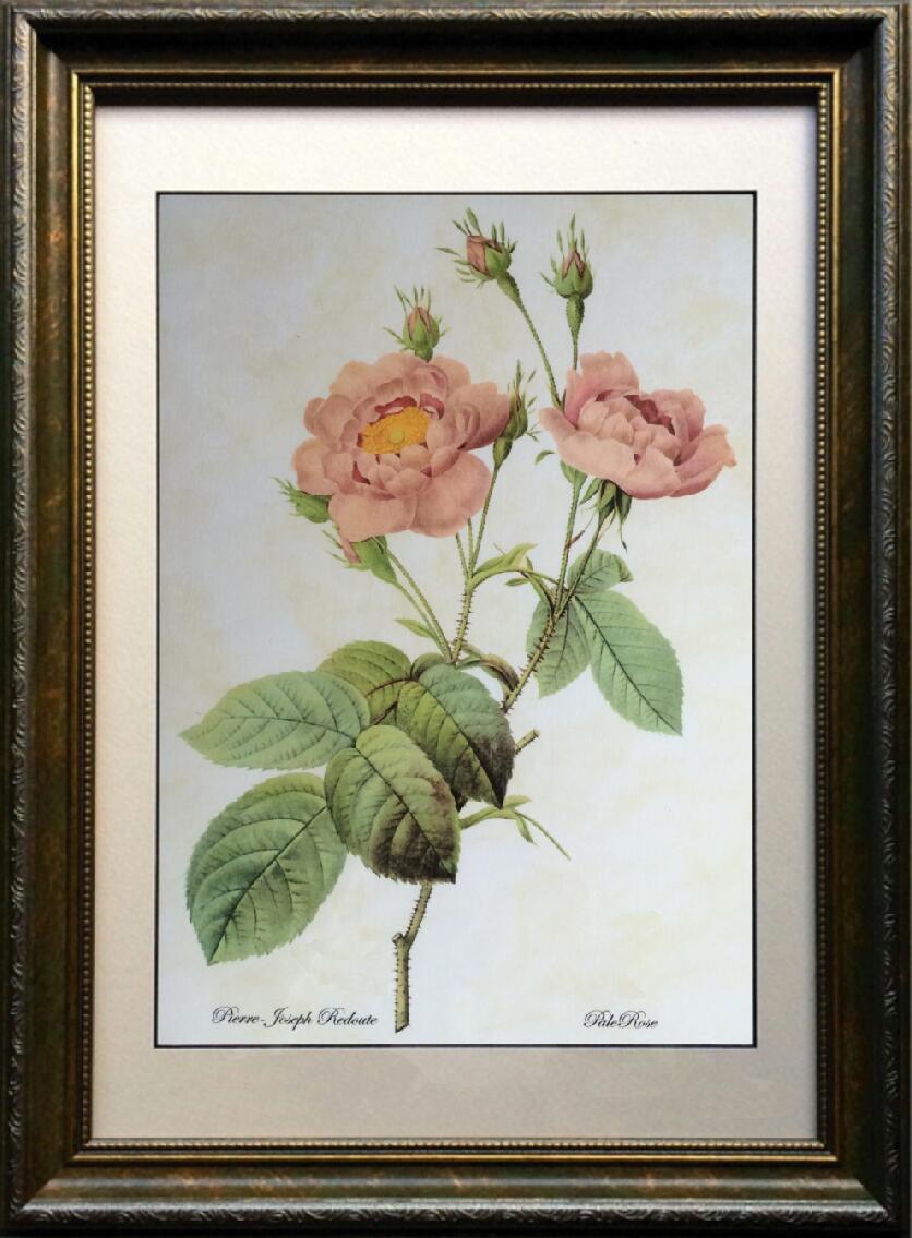 【楽天市場】pealimo Eris（エリス）シリーズ インテリア 絵画 植物 ピエール ジョゼフ ルドゥーテ ボタニカルアート 植物画 ...