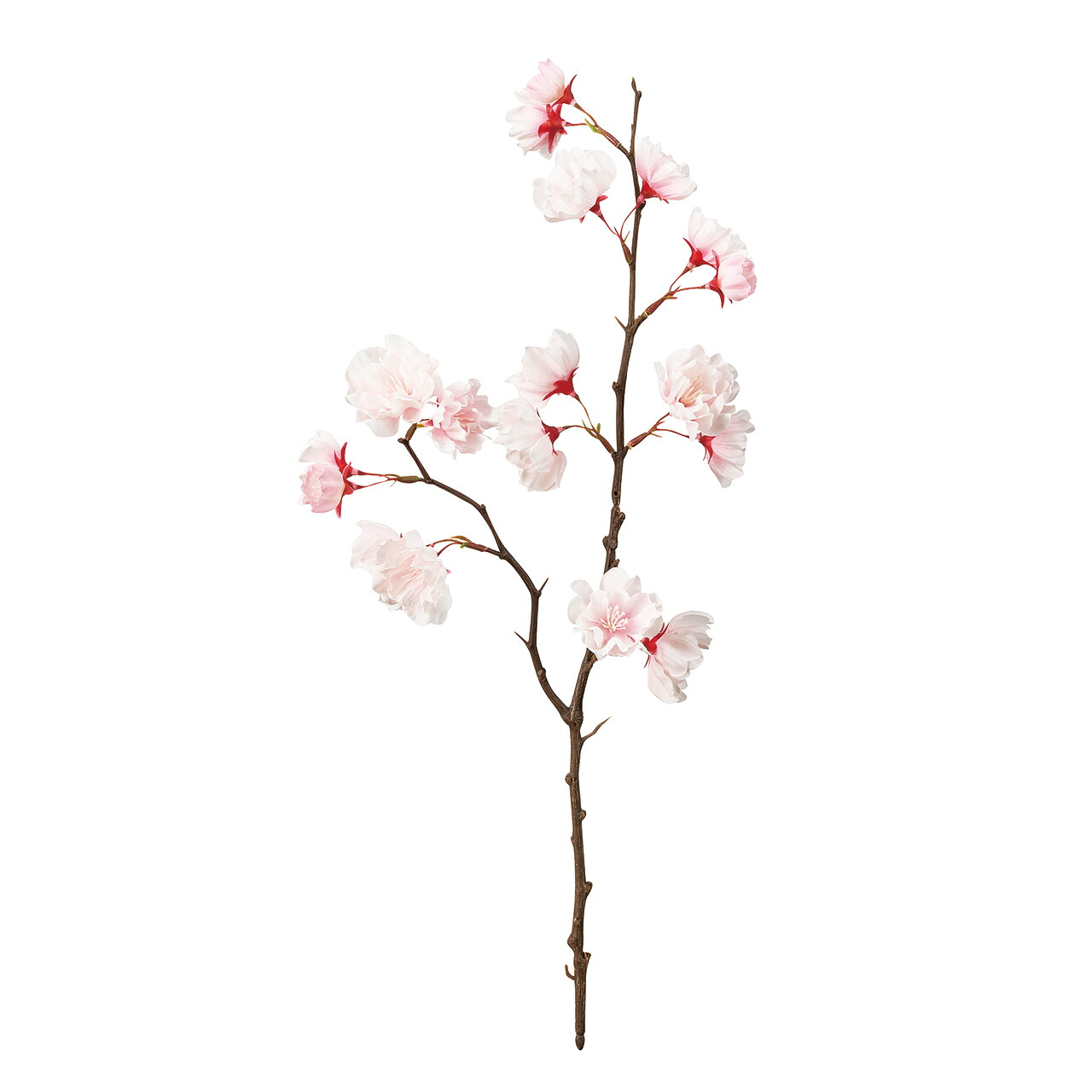 【楽天市場】【公式】東京堂 MAGIQ 造花 花材 八重桜小枝 ピンク アーティフィシャルフラワー 桜 FM302301 ReCO ...