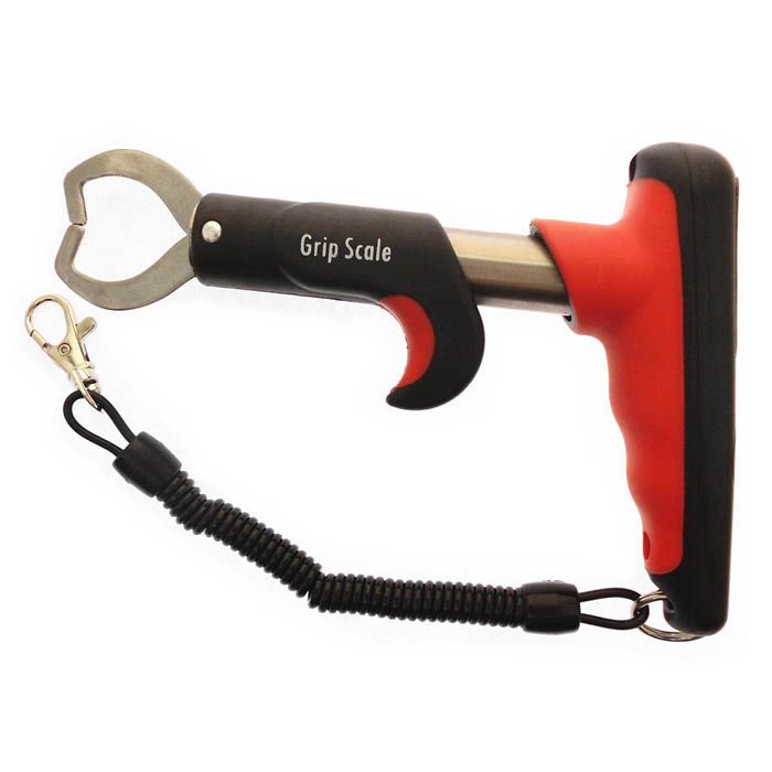 【楽天市場】グローリフィッシュ フィッシュグリップ＆デジタルスケール 0：ホームプラザナフコ楽天市場店