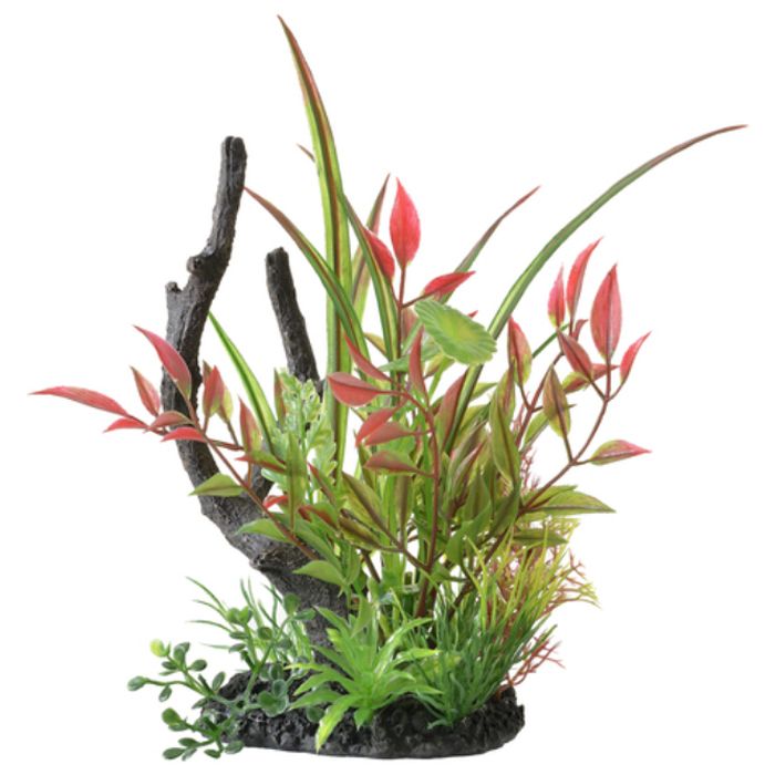【楽天市場】GEX 癒し水景MIXプランツウッド ルドヴィジア：ホームプラザナフコ楽天市場店