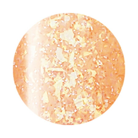 【楽天市場】ageha(アゲハ) オプティカラー 4-02 マンゴーソルベ 2.7g：ネイル用品 nailstudy