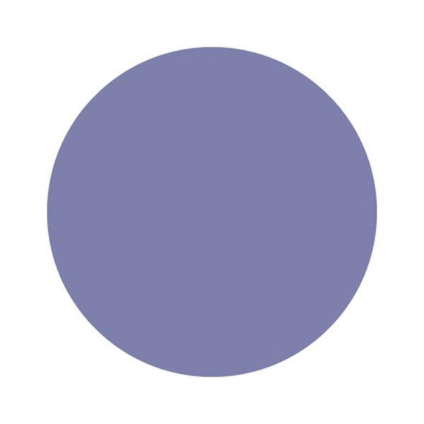 【楽天市場】CHRISTRIO ｼﾞｪﾙﾎﾟﾘｯｼｭ #13 ﾗﾍﾞﾝﾀﾞｰｽｶｲ 15ml：ネイル用品 nailstudy