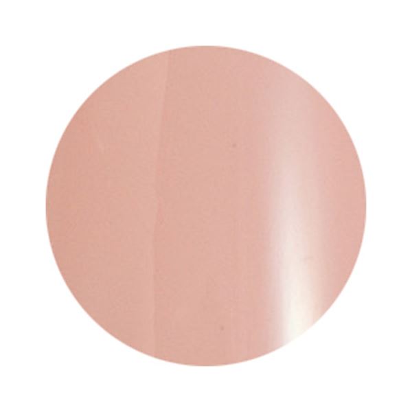 【楽天市場】プリジェル ミューズ シアーピーチ PGM-S090 3g：ネイル用品 nailstudy