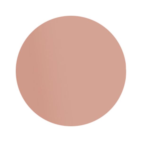 【楽天市場】プリジェル ミューズ トラディショナルセピア PGM-M119 3g：ネイル用品 nailstudy