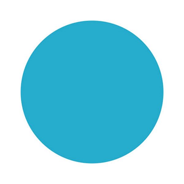 【楽天市場】プリジェル ミューズ ブルーミングシティ PGM-S195 3g：ネイル用品 nailstudy