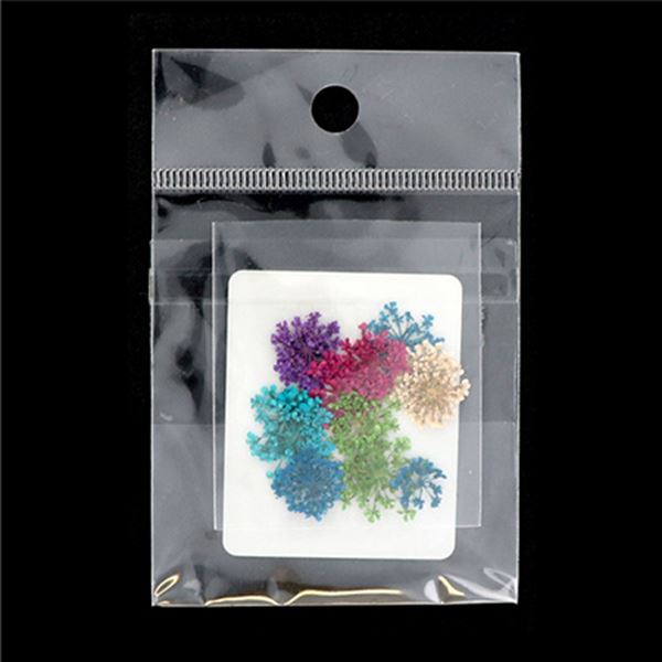 【楽天市場】B.N. ドライフラワー コゴメナデシコ ブルー SDF-5：ネイル用品 nailstudy