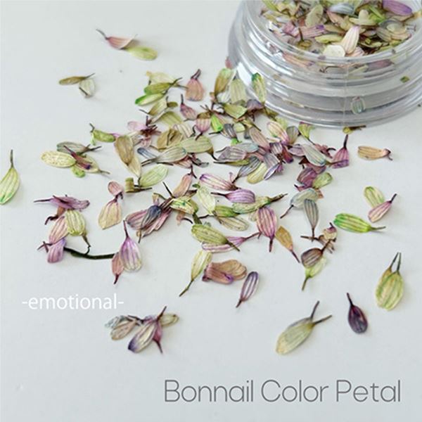 【楽天市場】Bonnail カラーペタル エモーショナル 0.08g：ネイル用品 nailstudy