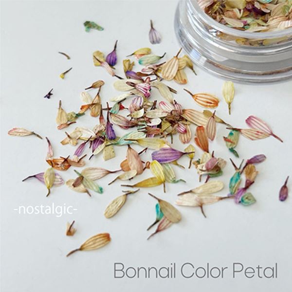 【楽天市場】Bonnail カラーペタル ノスタルジック 0.08g：ネイル用品 nailstudy