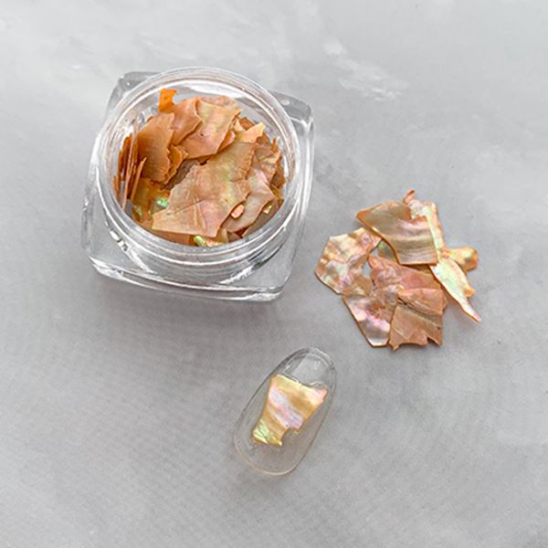 【楽天市場】SHAREYDVA シェルシート アプリコット：ネイル用品 nailstudy