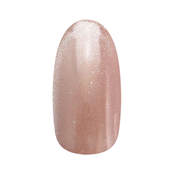 【楽天市場】ネイルパフェ カラージェル workday MG12 2g：ネイル用品 nailstudy
