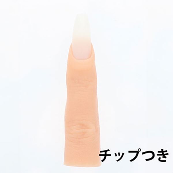 【楽天市場】B.N. プラクティスフィンガー リアル 専用チップ20枚つき PFR-4：ネイル用品 nailstudy