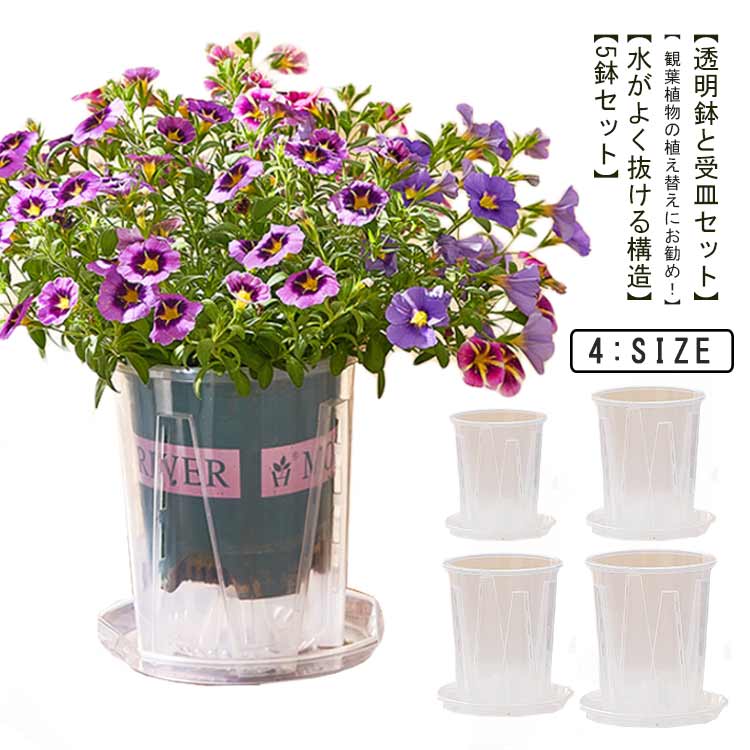 【楽天市場】胡蝶蘭 植木鉢 5鉢セット 透明 植え替え 鉢 受皿付き 観葉植物の植え替え 根が見える鉢 クリア 排水穴付き 根腐れ防止 通気性 プラスチック おしゃれ 蘭の鉢 多肉植物 観葉 ...