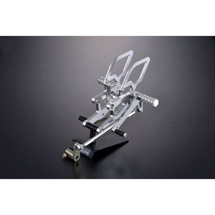 【楽天市場】TECHNICAL SPORTS RACING テクニカルスポーツレーシング TSR ステップキット RACING 4ポジション ...