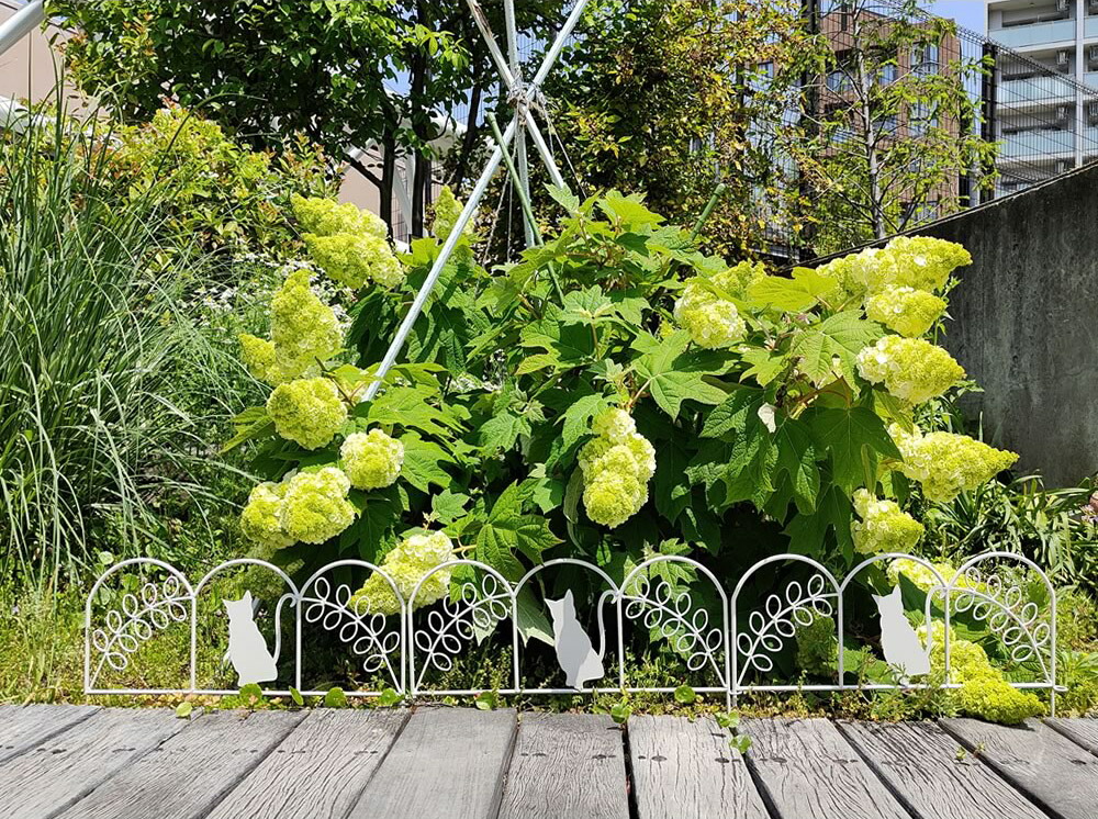 【楽天市場】アイアンフェンス ミニ（猫） 3枚組 NK7238-3P折り畳めるアイアンフェンス（猫3連） 2枚組 NK120-2P：庭をたのしむ材料屋 なるぞう