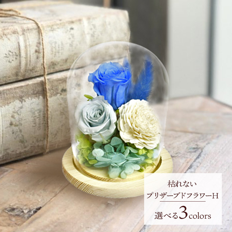 【楽天市場】早割 お歳暮 2025 SOUP ガラスドームアレンジメント 枯れないプリザーブドフラワーH 4,820円（税・送料込） SPPZH 選べる3種 ブリザードフラワー 造花 花 お花 ...