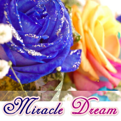 【楽天市場】送料無料★ミラクルドリーム～miracle dream～誕生日 花 レインボーローズ ブルーローズ 結婚記念日 珍しいバラ ...
