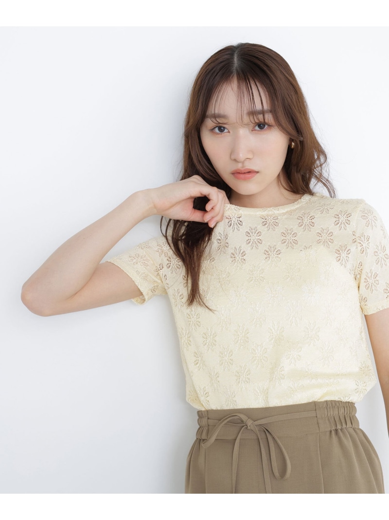 【楽天市場】カットレースTシャツ NATURAL BEAUTY BASIC ナチュラルビューティベーシック トップス カットソー・Tシャツ ホワイト【送料無料】[Rakuten Fashion ...