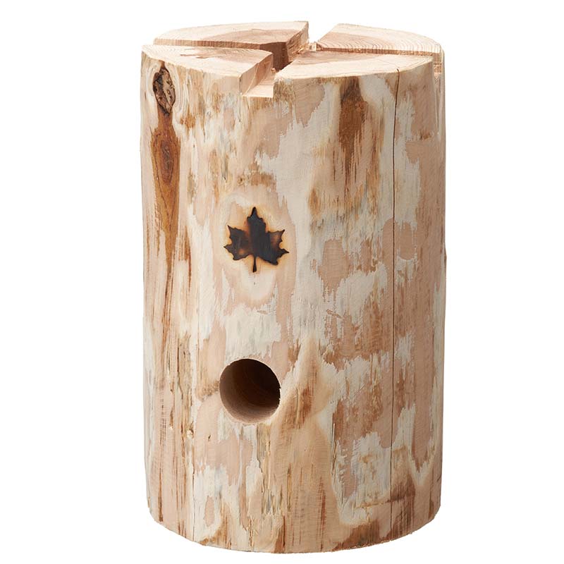 楽天市場】コールマン(Coleman) トーチ コールマントーチ 強力