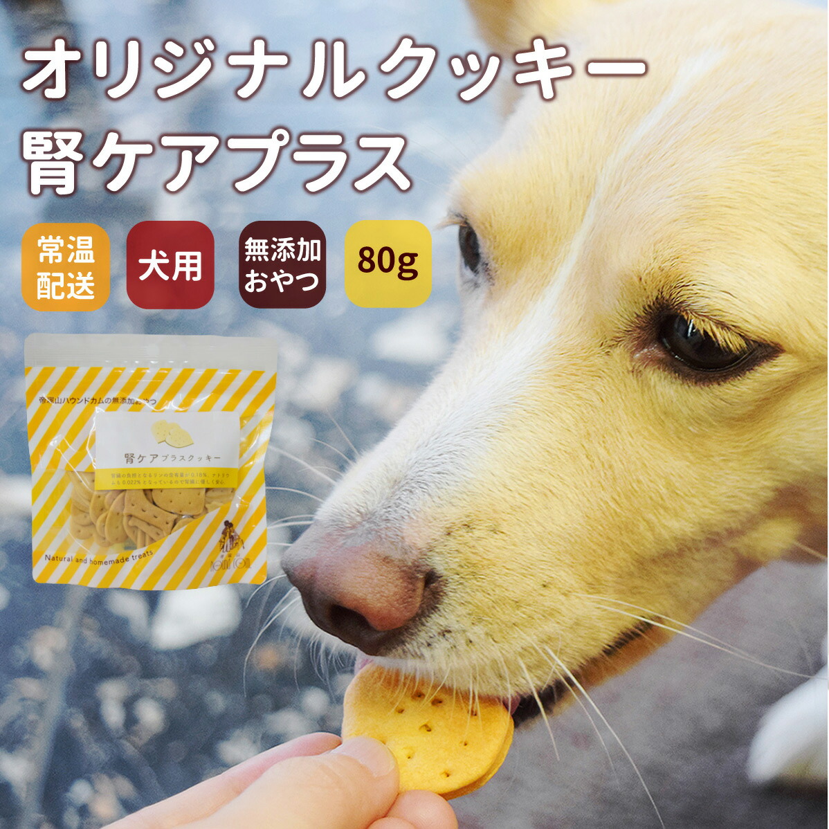 【楽天市場】GLORY DOG＆EARTH オリジナルクッキー 腎ケアプラス 80g：ドッグニール