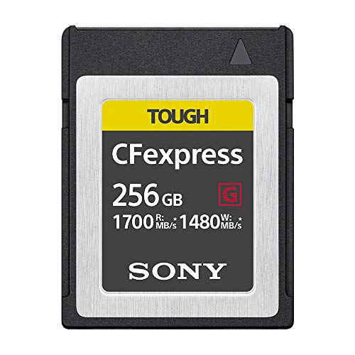 【楽天市場】ソニー SONY CFexpress Type B メモリーカード 256GB タフ仕様 書き込み速度1480MB/s 読み出し速度1700MB/s CEB-G256：ネコサン商店