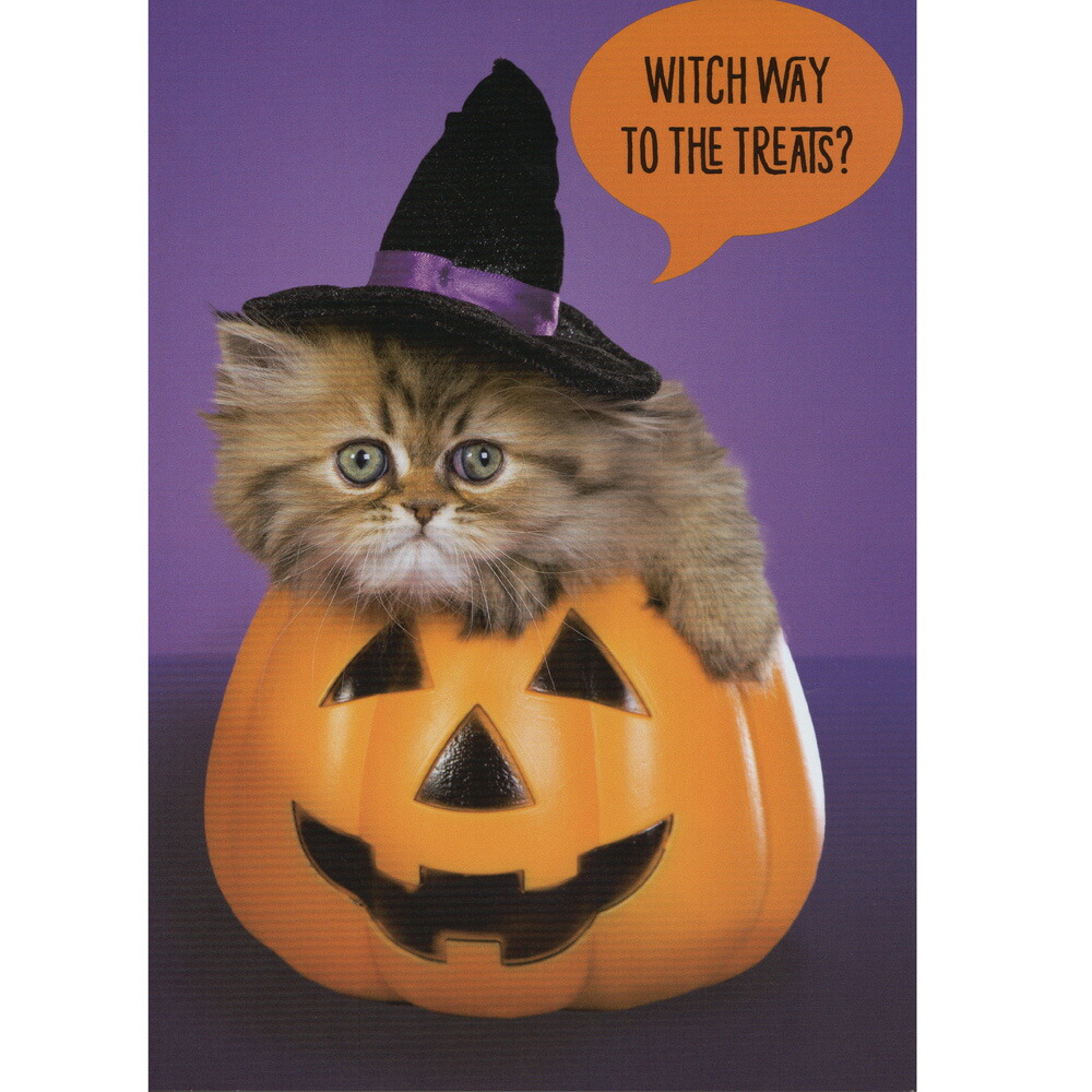 【楽天市場】猫のハロウィンカード キティウィッチ：猫グッズMIMIKOBO