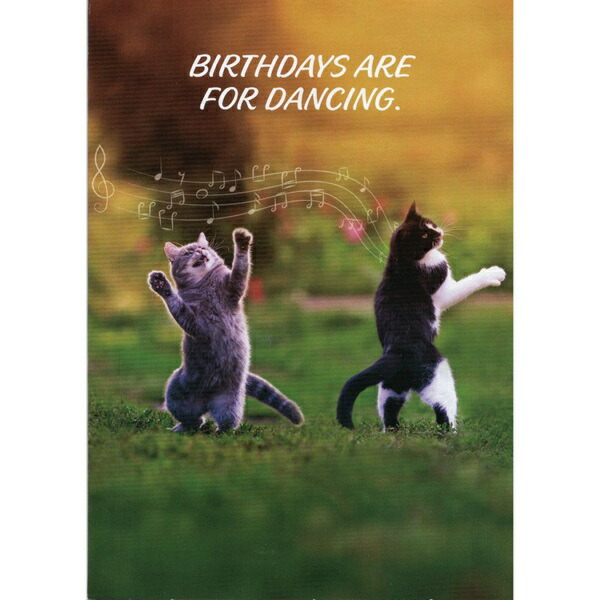 【楽天市場】猫のバースデーカード ダンシングキャット：猫グッズMIMIKOBO