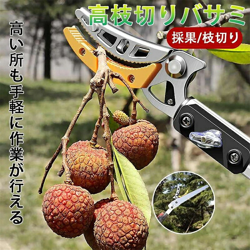 【楽天市場】高枝切りバサミ 3m 4m 5m 伸縮式高枝切鋏 鋸付き 伸縮式 剪定鋏 高枝鋏 高枝用 SK5 高所 園芸用はさみ 太枝切鋏 枝切り 枝分け 高枝切り鋏 万能はさみ：藤田商店