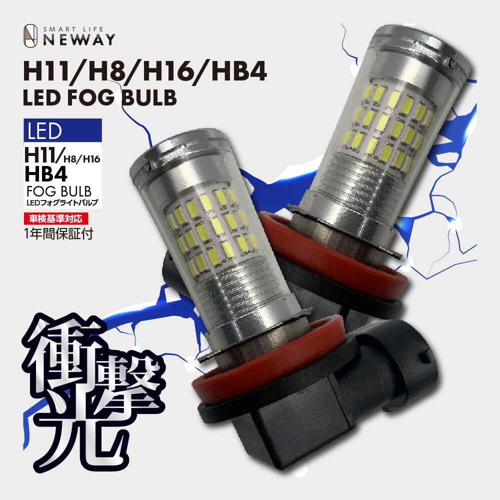 H16 bulb store
