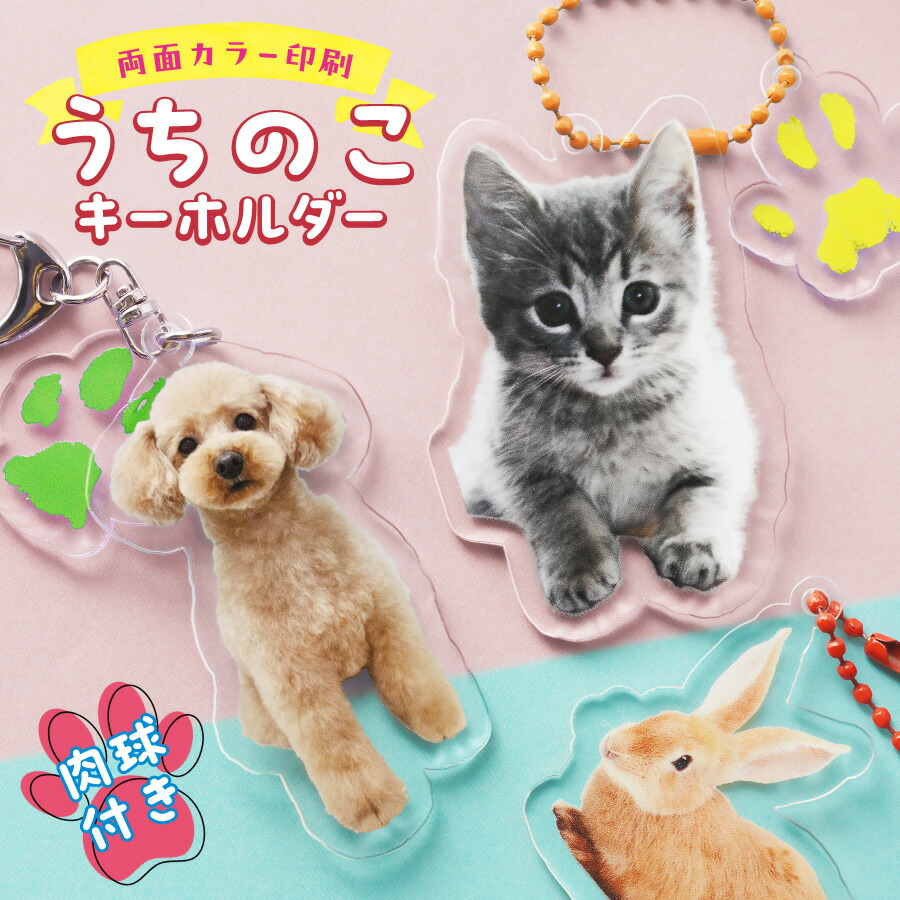 【楽天市場】【新商品】 肉球 うちのこ キーホルダー ペット 写真入れ お名前 両面 子犬 小型犬 大型犬 犬 いぬ 愛犬 お散歩 ドッグラン ワンポイント メモリアル ギフト プレゼント ...