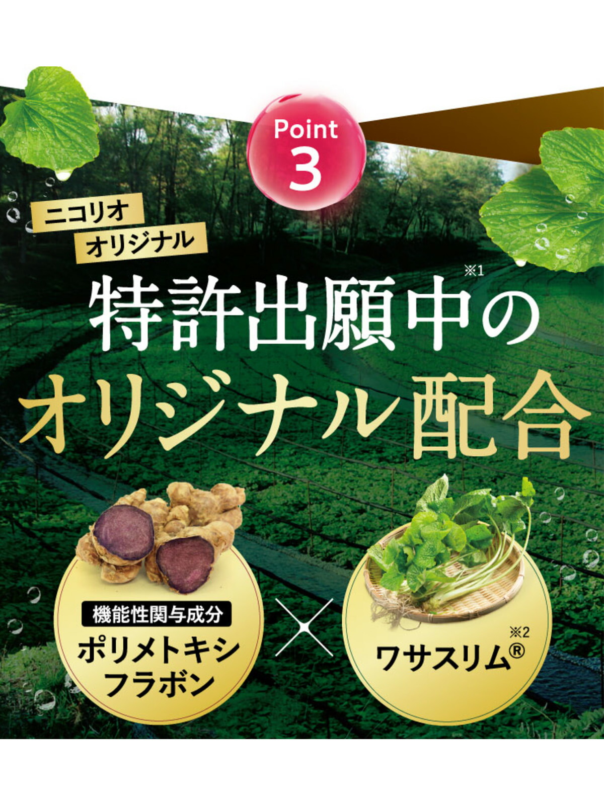 【楽天市場】楽天スーパーSALE限定10％OFF！ 【日本製/公式】FLAVOS フラボス ダイエット サプリ お腹 脂肪 機能性表示食品 ...