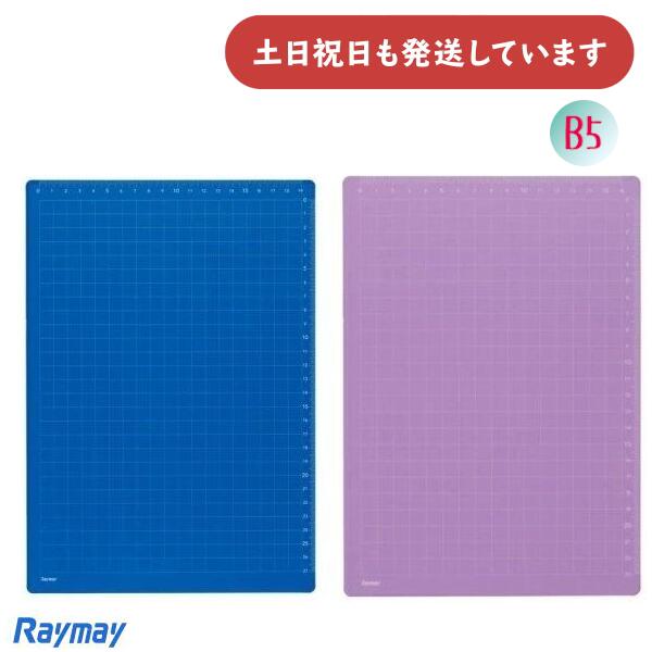 【楽天市場】レイメイ 先生おすすめ 魔法のザラザラ下じき B5 0.3mmドット文房具 文具 小学生 入学準備 学習 勉強 Raymay ブルー バイオレット 中学生：にじいろ文具楽天市場店
