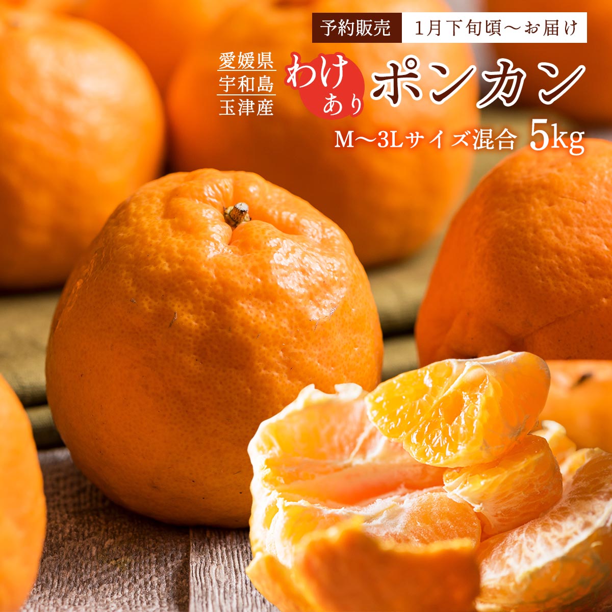 【楽天市場】ポンカン 愛媛 訳あり 5kg 【お届け時期:1月下旬～】送料無料 [玉津柑橘倶楽部] 果物 ポンカン・訳あり品・5kg M~3Lサイズ混合 /みかん ぽんかん 訳あり品 家庭用 ...